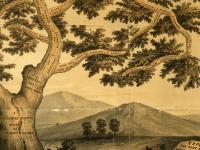 HSP Ancestry Day | Historical Society of Pennsylvania
